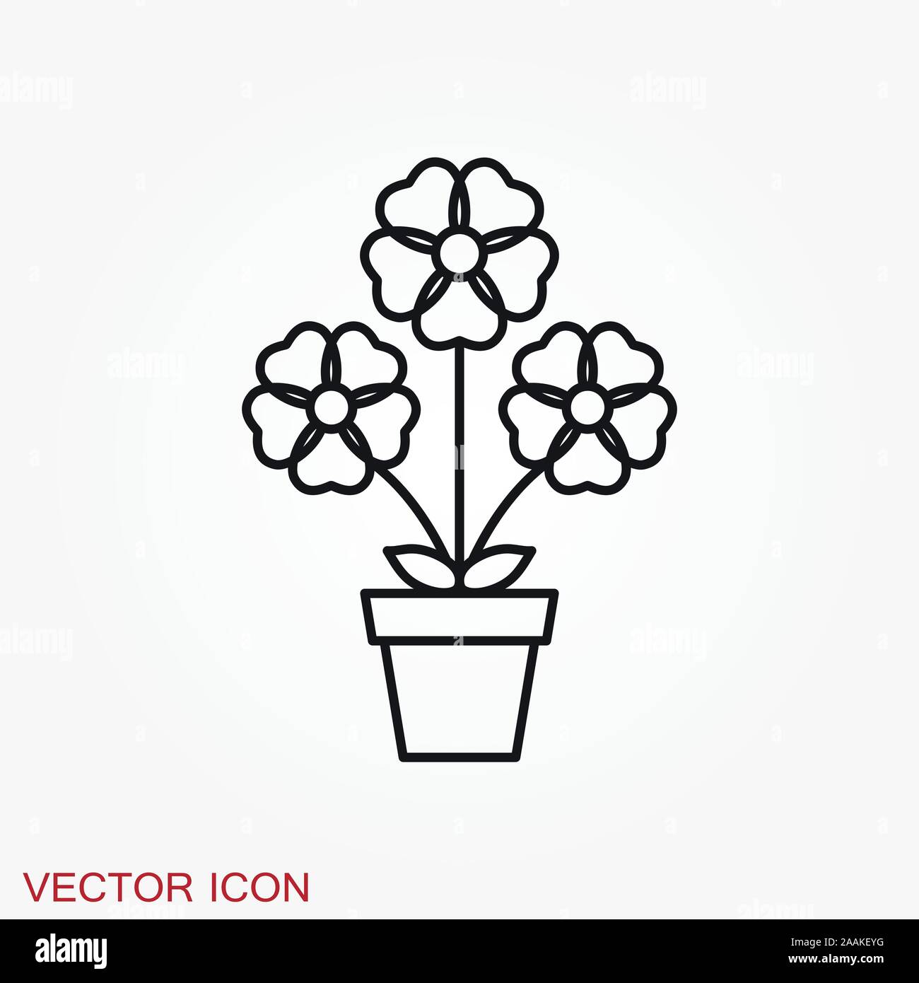 Cactus and fern plants at home Cut Out Stock Images & Pictures - Alamy