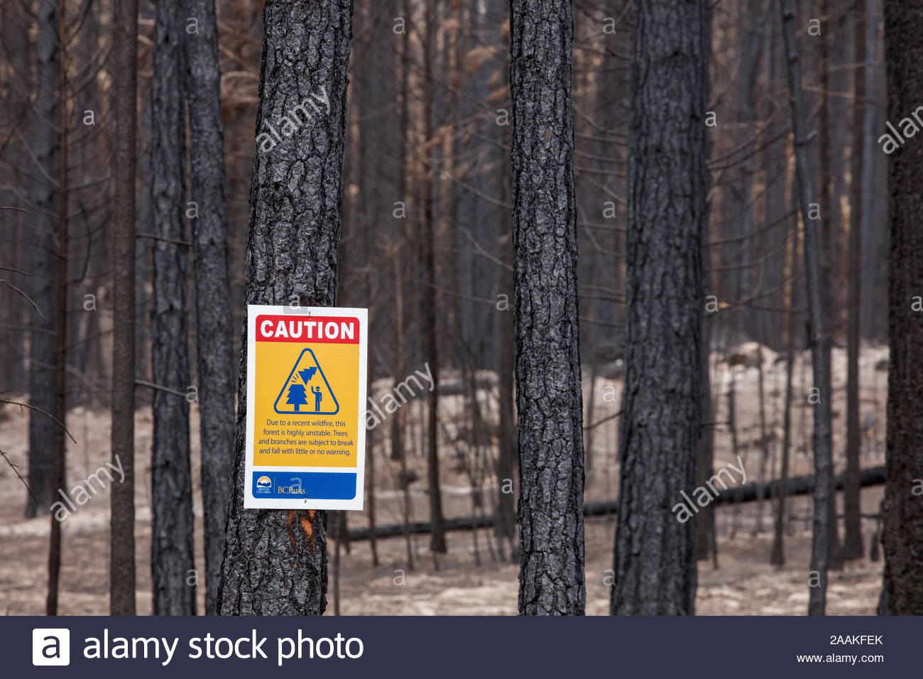 Forest Fire Warning Sign High Resolution Stock Photography and Images ...