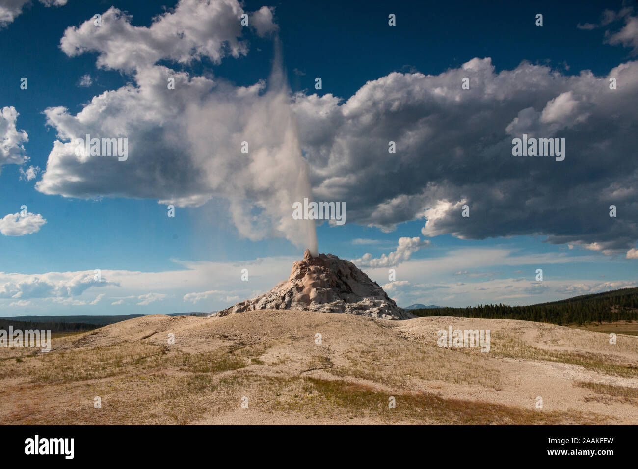 Whitedome geyser hi-res stock photography and images - Alamy
