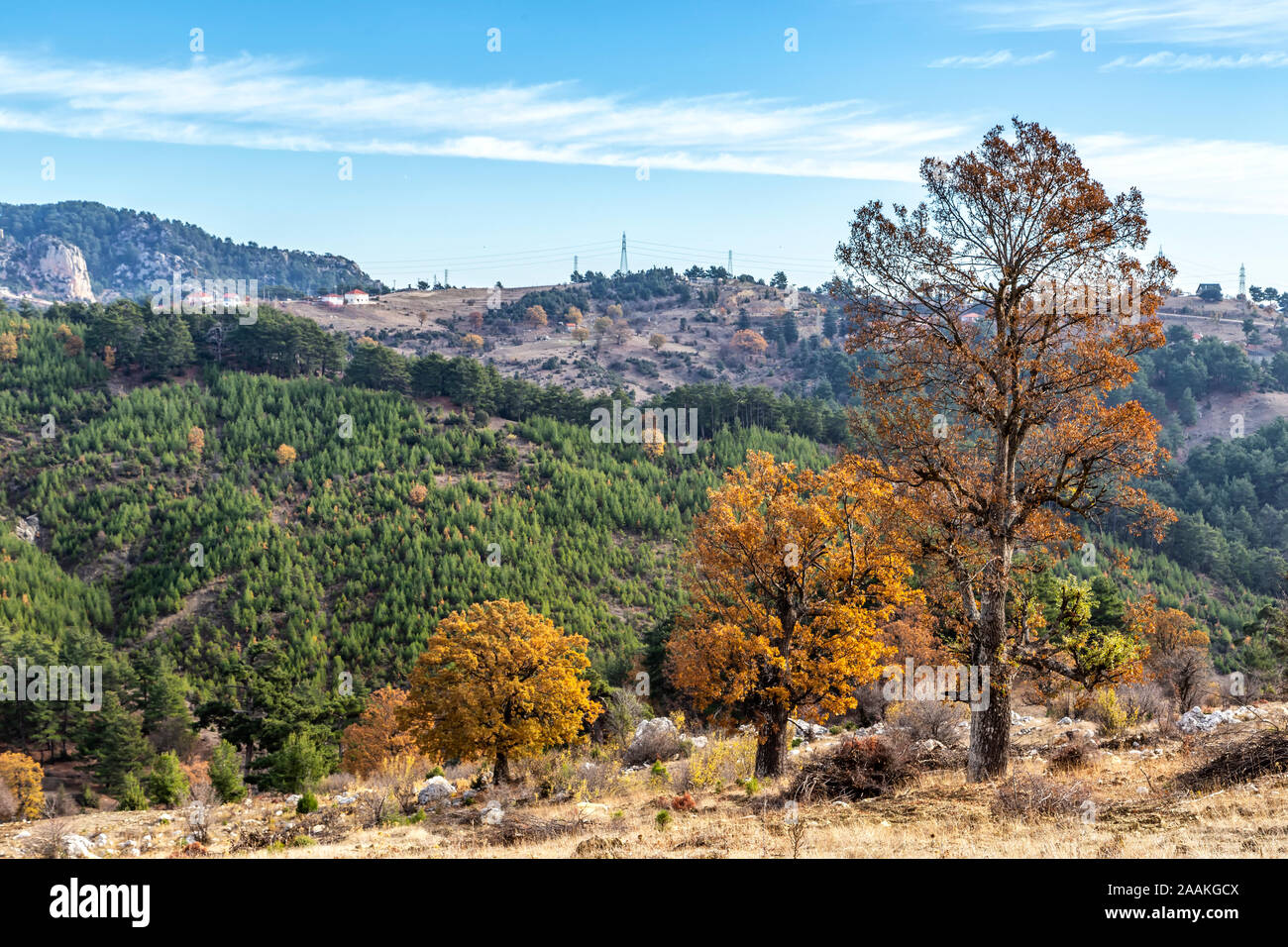 Autumn colors in rolling hi-res stock photography and images - Alamy