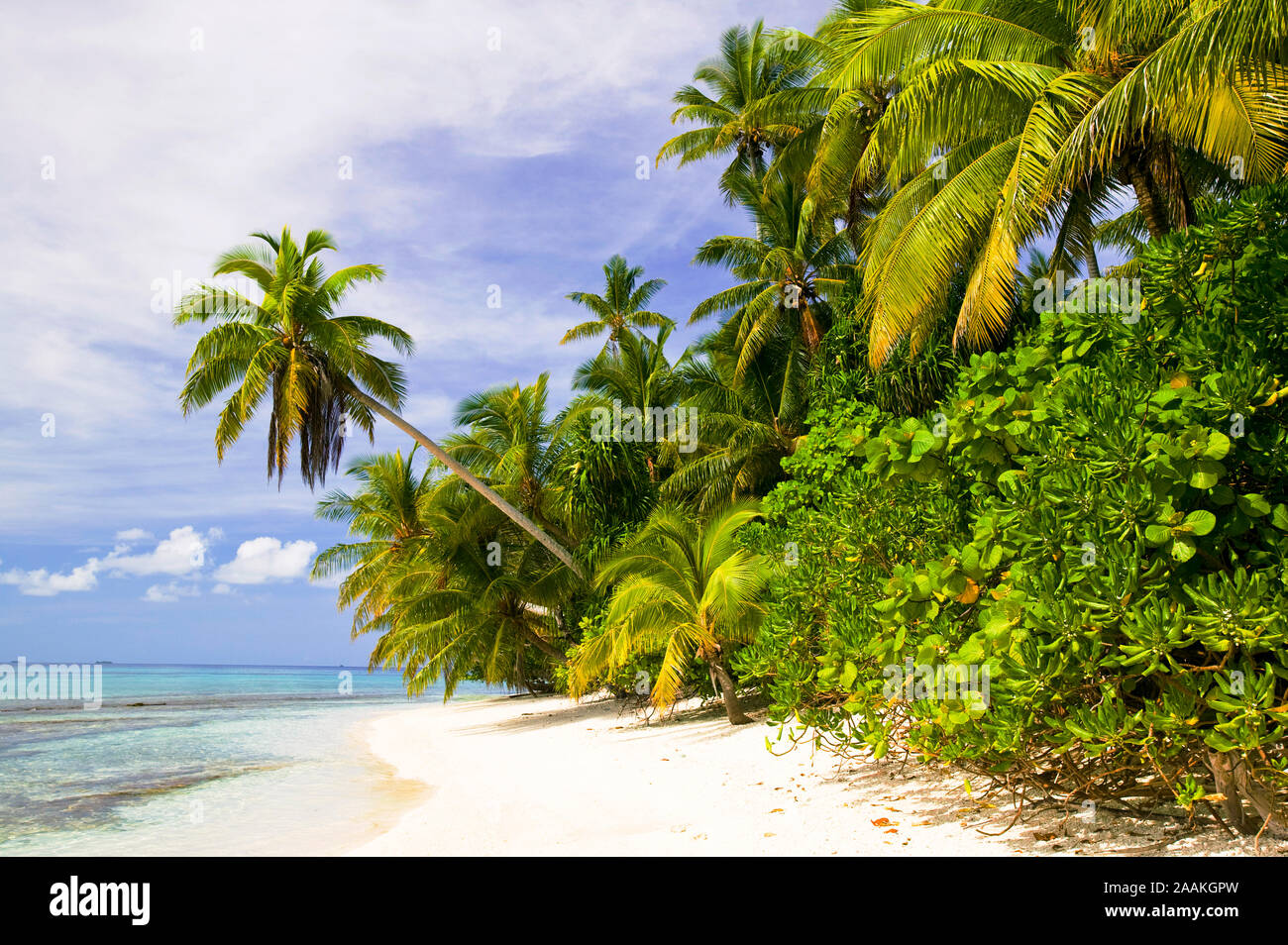 Tepuka island hi-res stock photography and images - Alamy