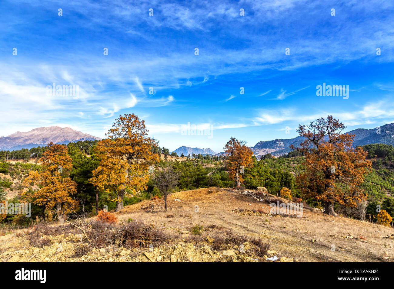 Autumn colors in rolling hi-res stock photography and images - Alamy