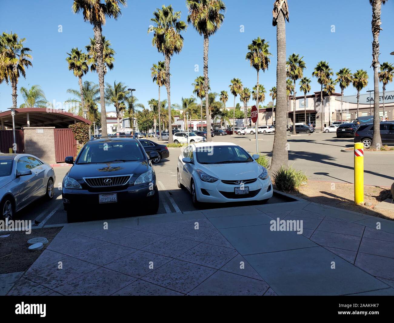 Parking Lot Trees California