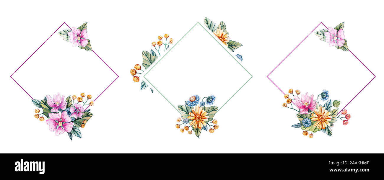 Square bloom Cut Out Stock Images & Pictures - Alamy