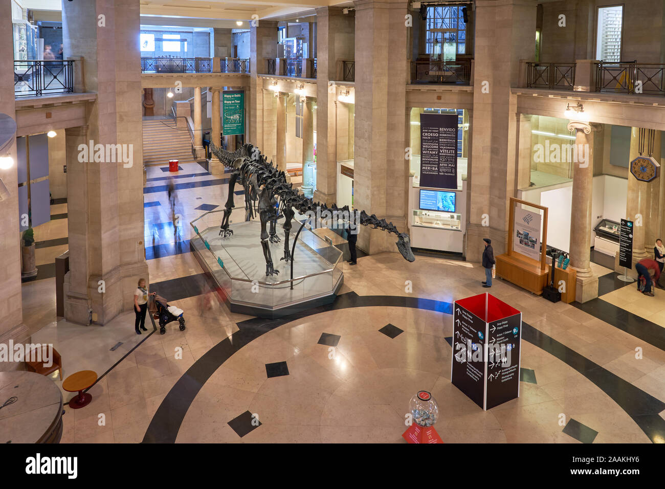 The National Museum, Cardiff, South Wales Stock Photo - Alamy