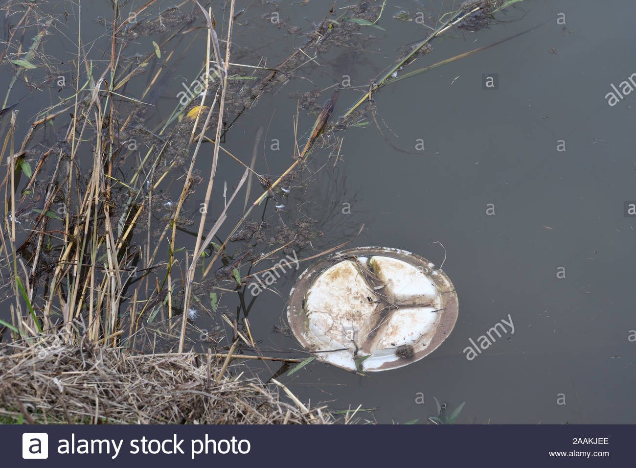 Waterway Garbage High Resolution Stock Photography and Images - Alamy