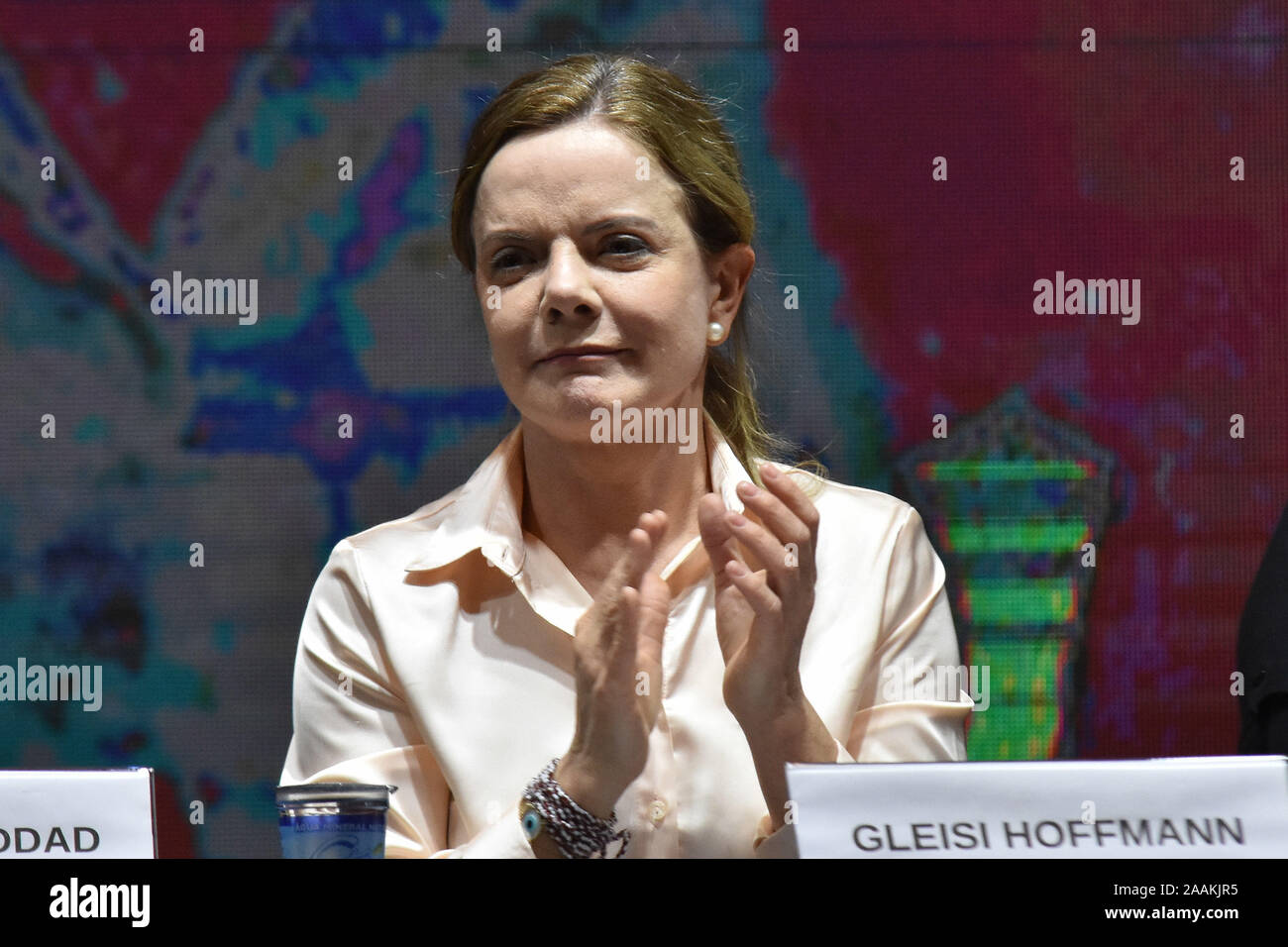 SÃO PAULO, SP - 22.11.2019: CONGRESSO NACIONAL PT - Gleise Hoffmann ...