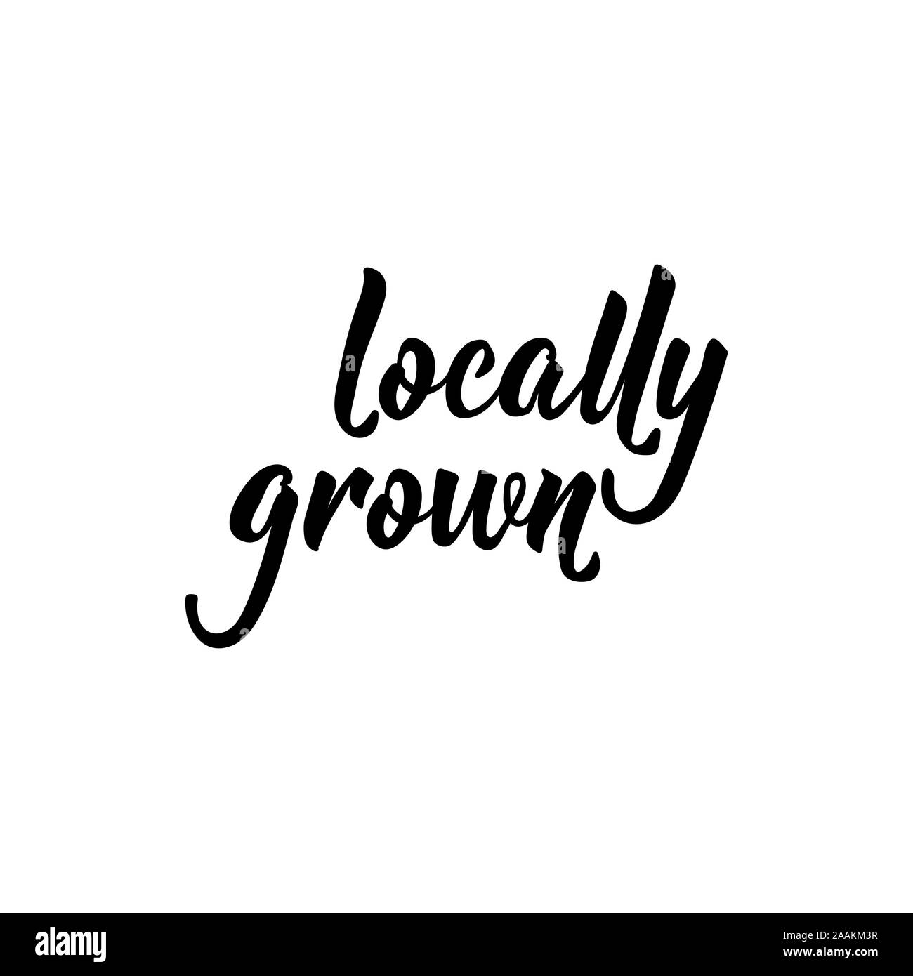 Locally grown. Lettering. Ink illustration. Modern brush calligraphy ...