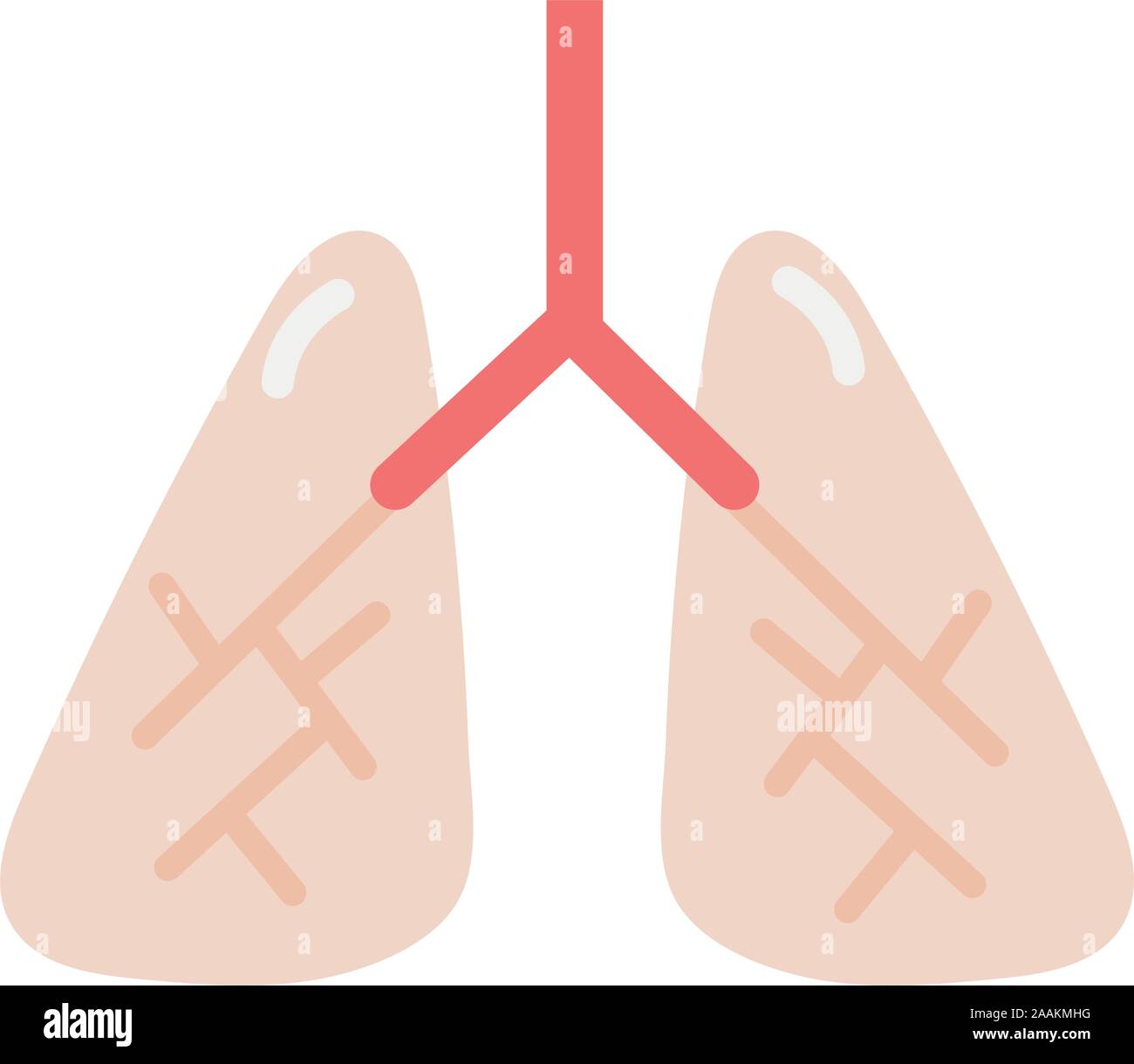 Normal healthy lungs hi-res stock photography and images - Alamy