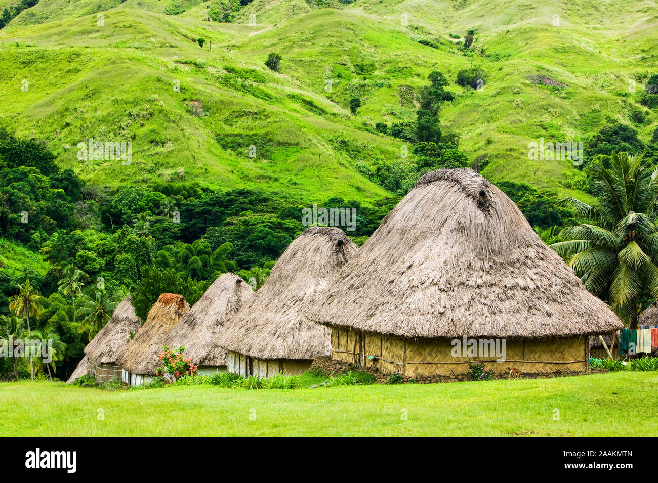 Navala village in the Fijian highlands the only village left on the ...