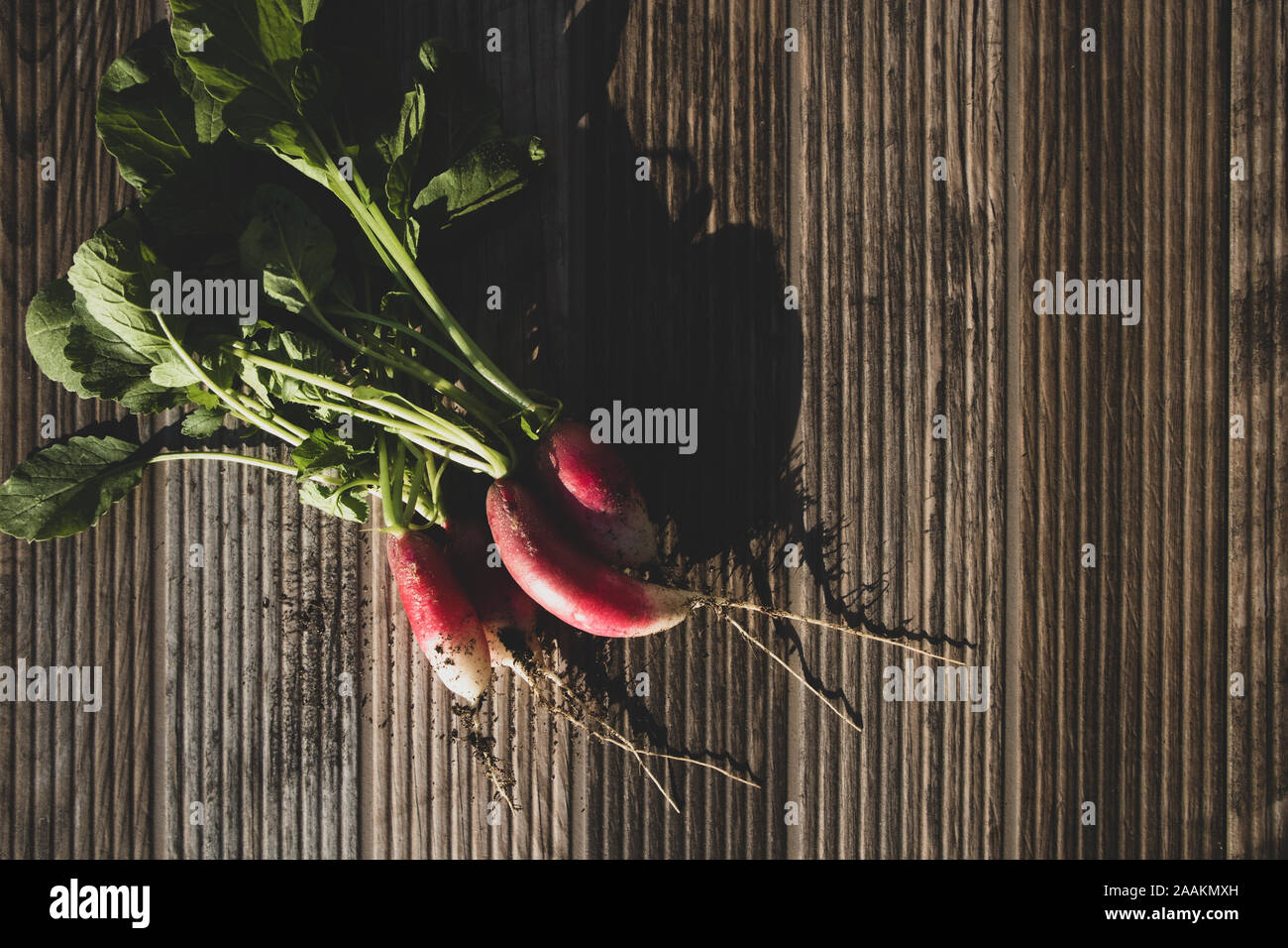 Bunch of Radishes on Wood Background Stock Photo - Alamy