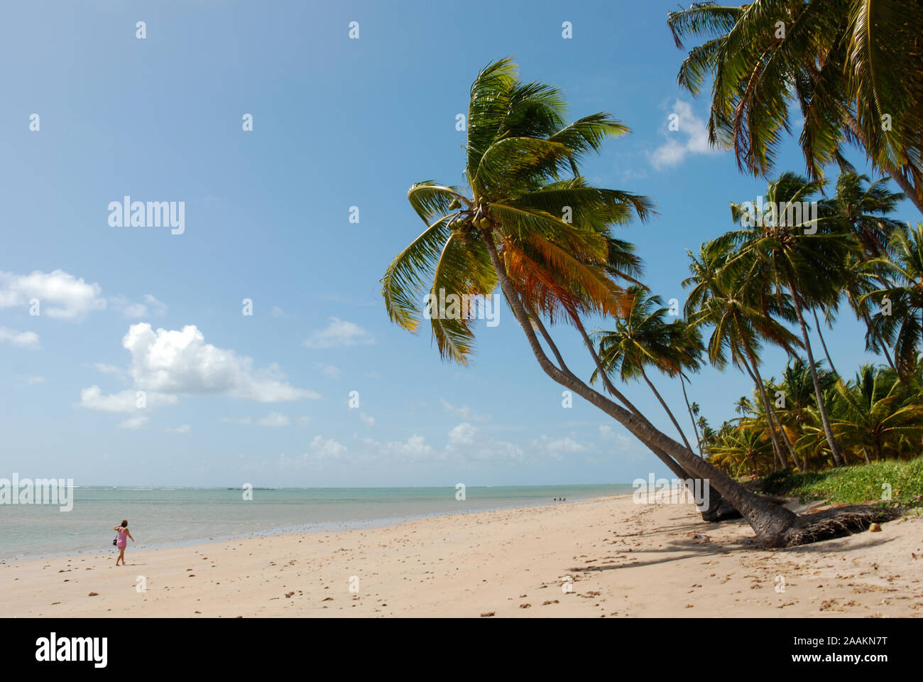 Pernambuco beaches hi-res stock photography and images - Alamy