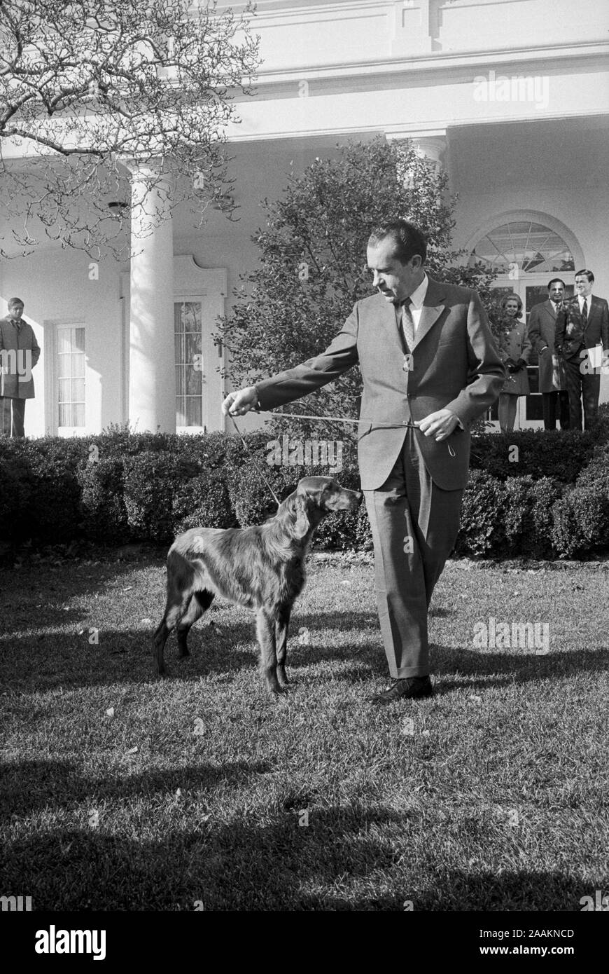 U.S. President Richard Nixon with his Pet, King Timahoe, an Irish ...
