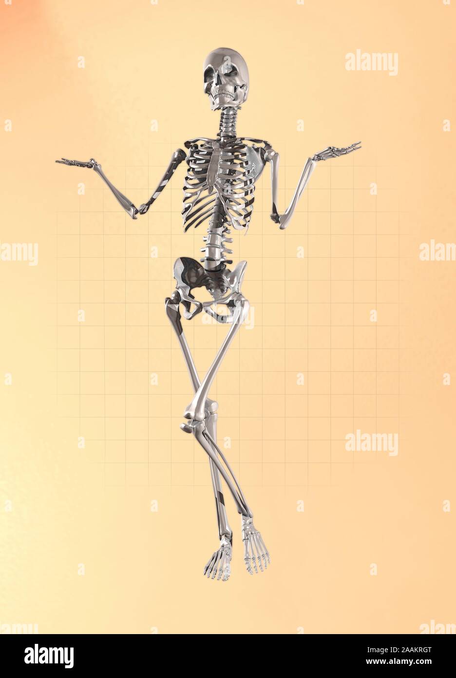 Human skeleton standing, illustration Stock Photo - Alamy