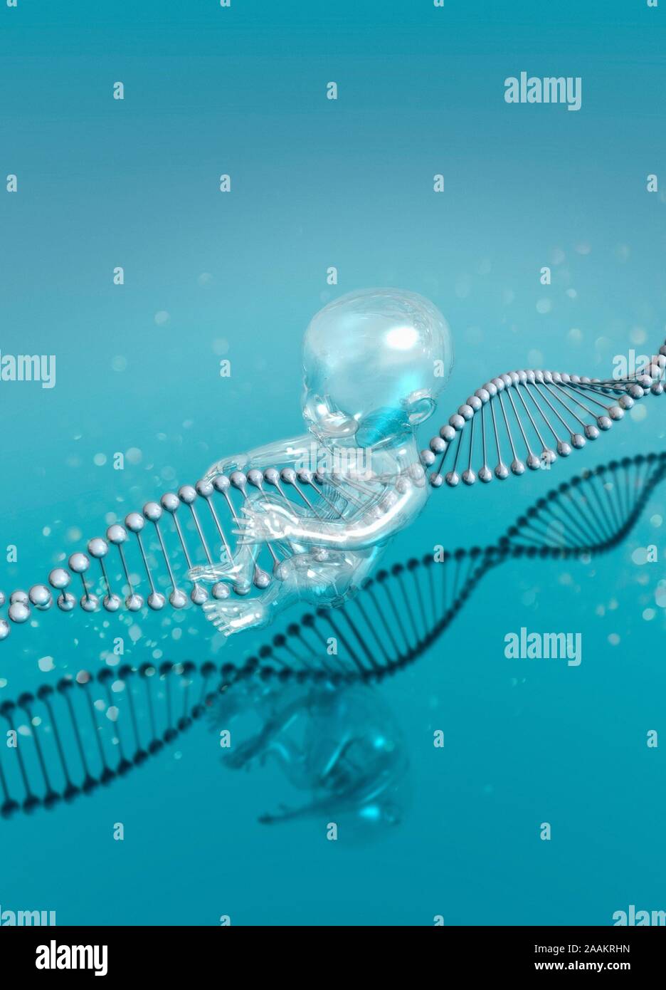 Baby and DNA (deoxyribonucleic acid), illustration Stock Photo - Alamy