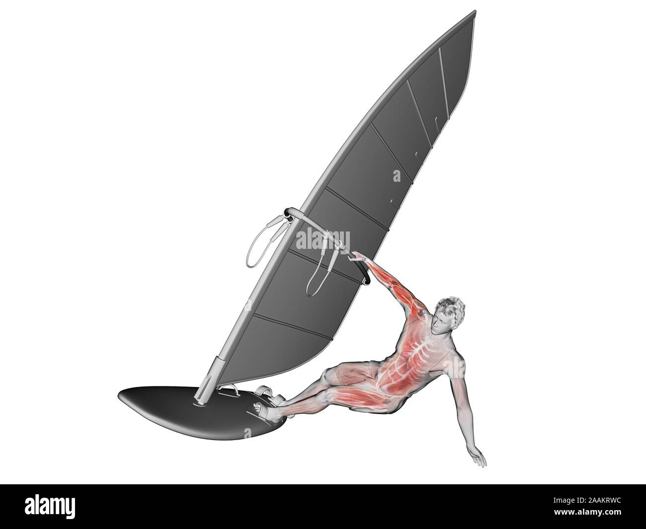 Human body anatomy illustration Cut Out Stock Images & Pictures - Alamy
