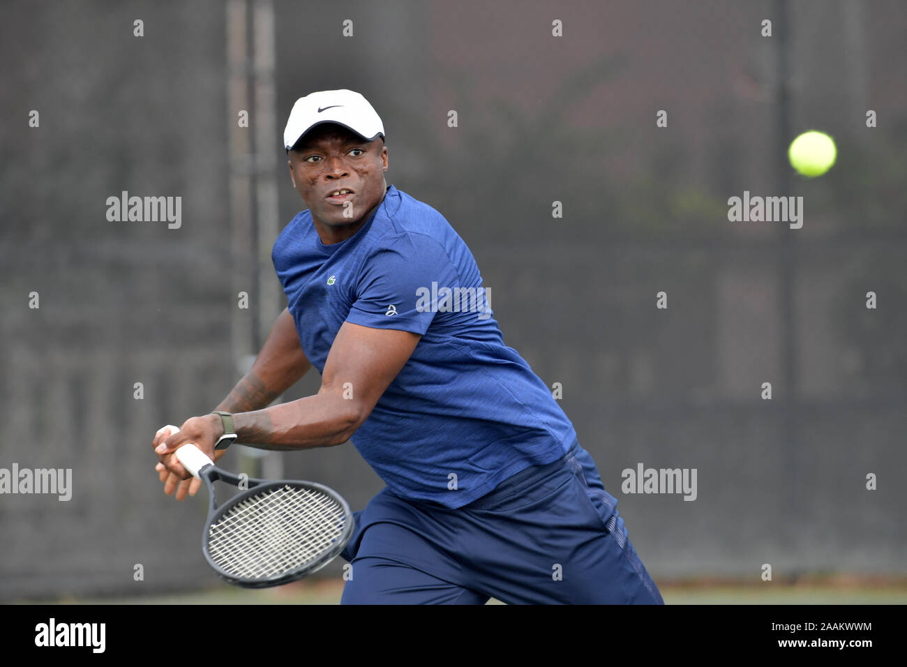Boca Raton, Florida, USA. 22nd Nov, 2019. Seal playing Tennis at The ...