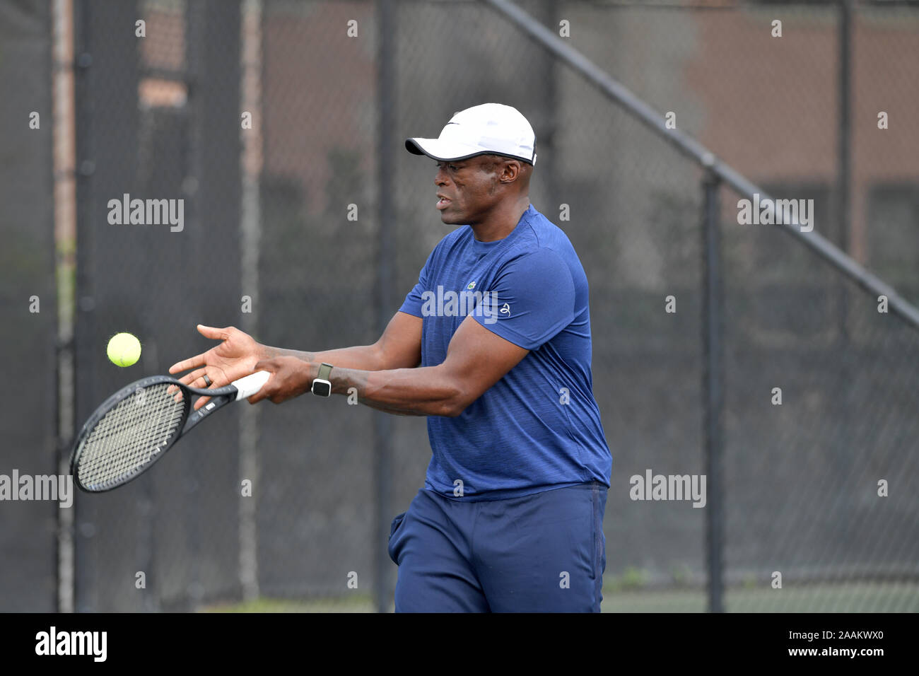 Boca Raton, Florida, USA. 22nd Nov, 2019. Seal playing Tennis at The ...