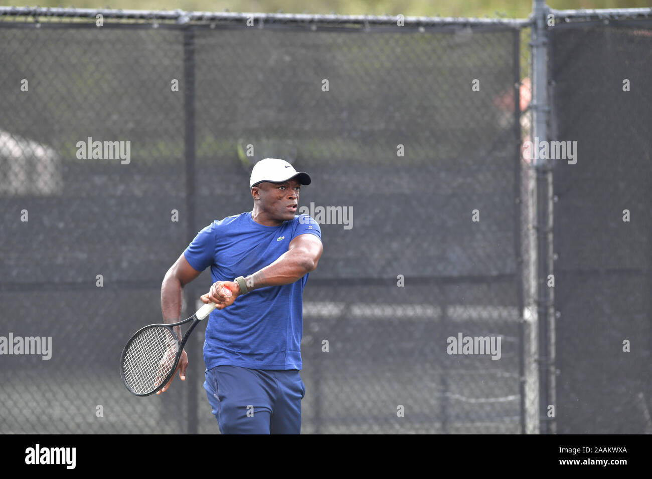 Boca Raton, Florida, USA. 22nd Nov, 2019. Seal playing Tennis at The ...