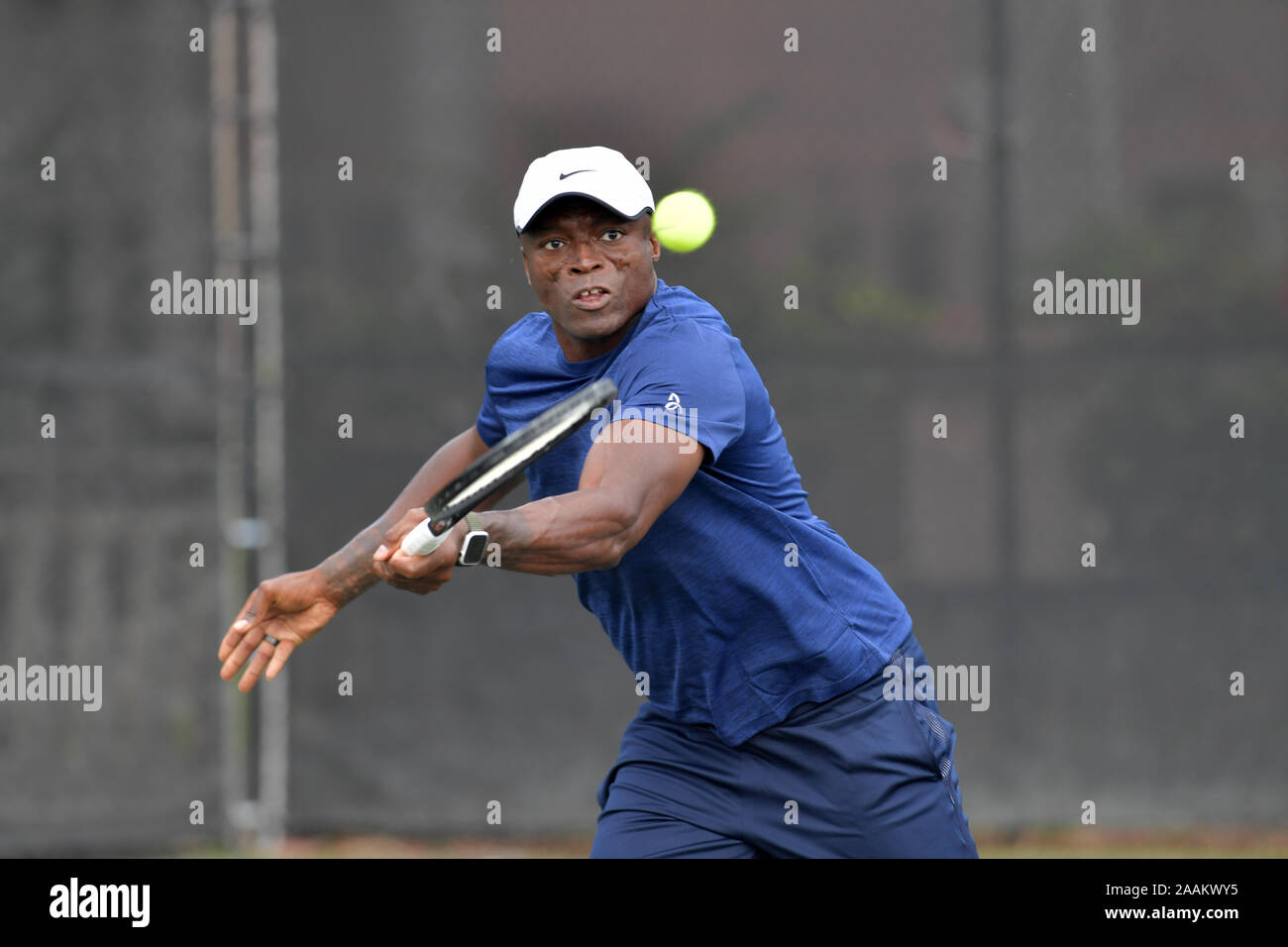 Boca Raton, Florida, USA. 22nd Nov, 2019. Seal playing Tennis at The ...