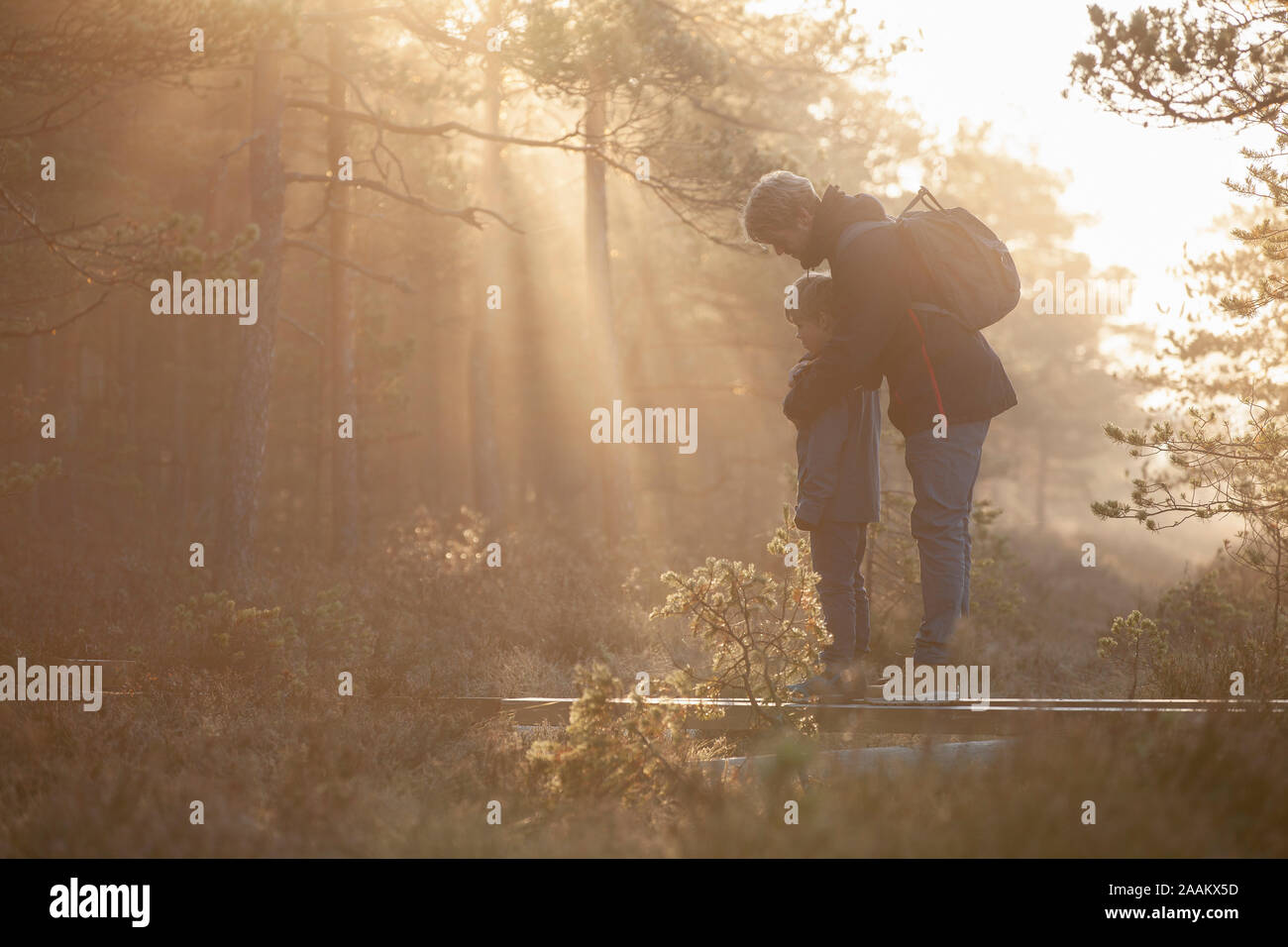 Boy exploring forest backpack hi-res stock photography and images - Alamy