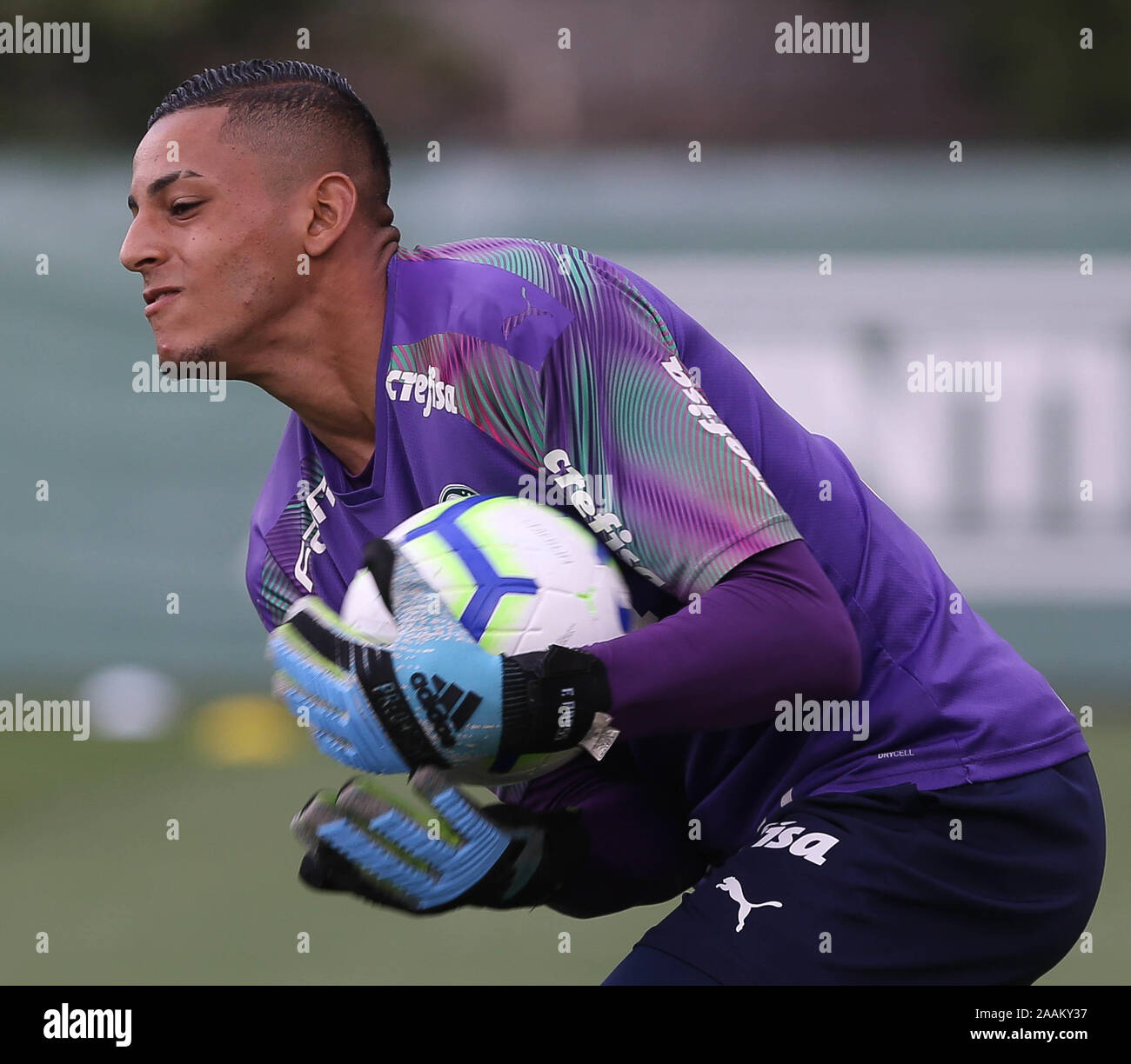 SÃO PAULO, SP - 22.11.2019: TREINO DO PALMEIRAS - Goalkeeper Mateus ...