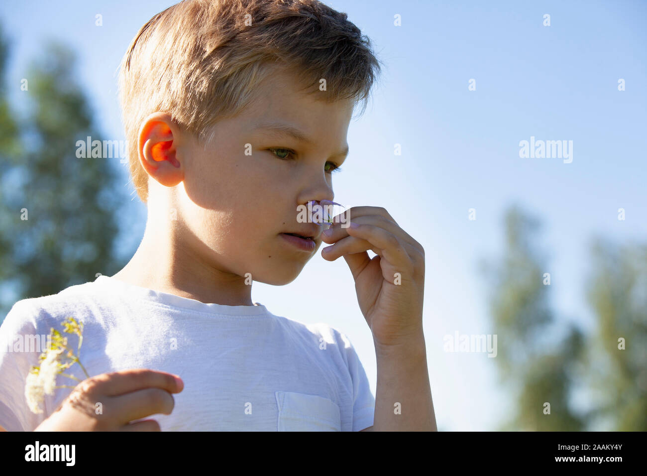 Boy discovering and smelling flowers in meadows Stock Photo - Alamy