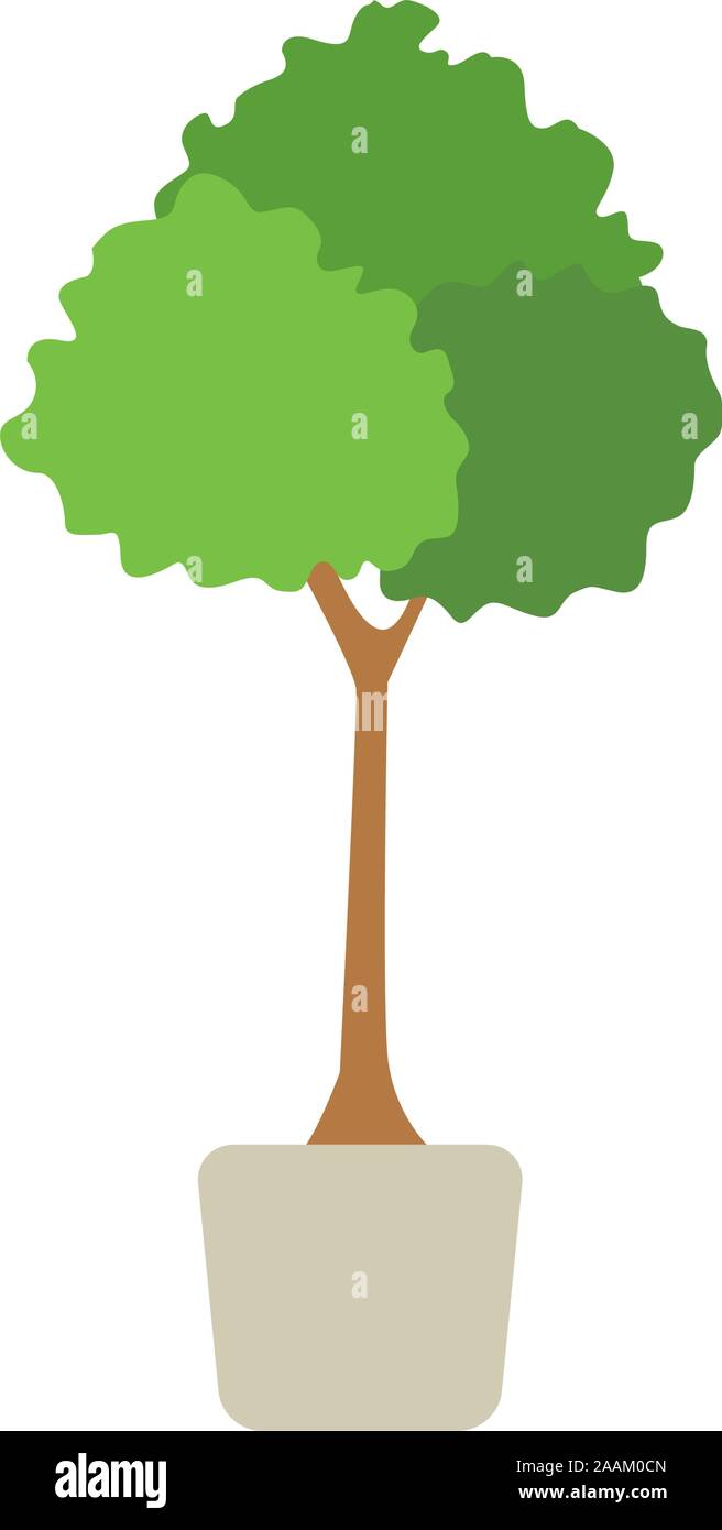 tree plant in the pot icon Stock Vector Image & Art - Alamy