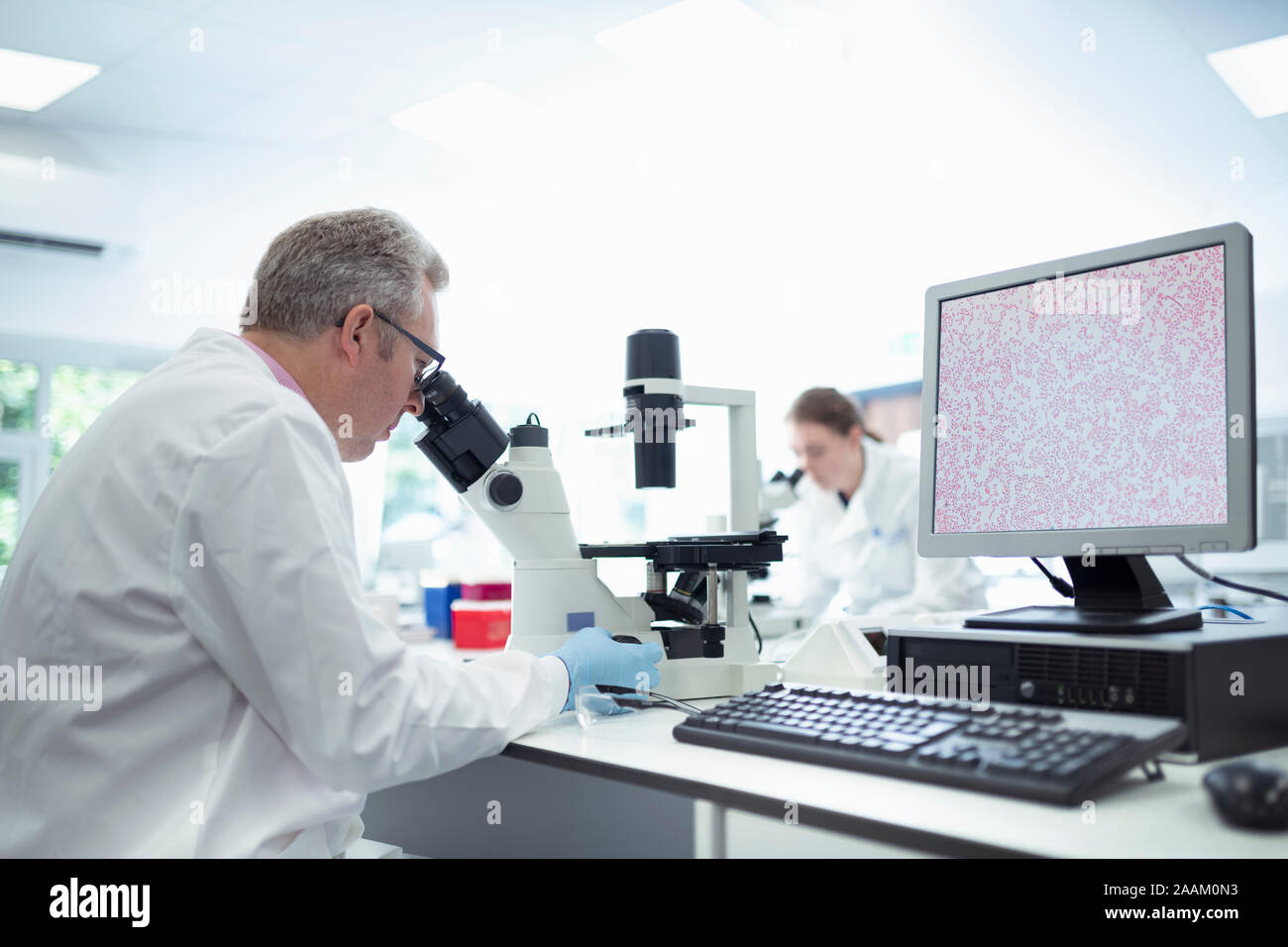 Team of scientists computer hi-res stock photography and images - Alamy