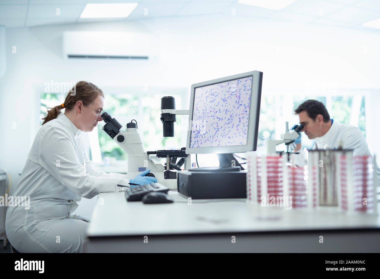 Team of scientists computer hi-res stock photography and images - Alamy