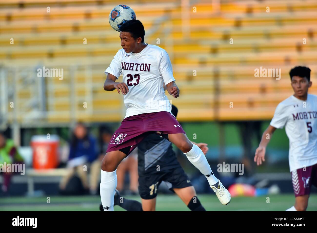 Athlete football player hi-res stock photography and images - Alamy