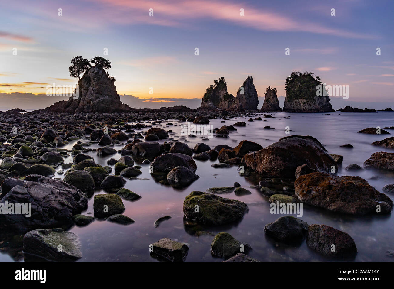 Low tide at dawn, at the Minokakeiwa rocks, with trees growing on them ...