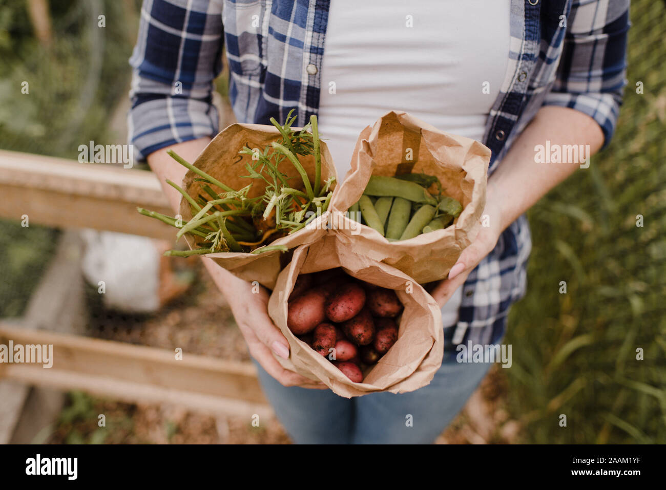 Person carrying grocery bags hi-res stock photography and images - Alamy