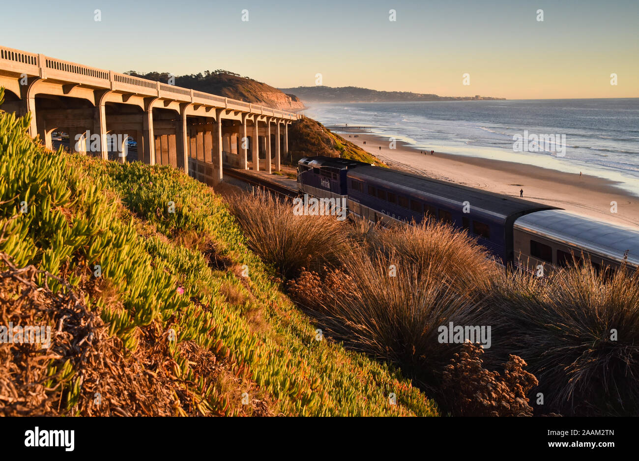 Amtrak passenger diesel locomotive traveling along coastal railroad ...