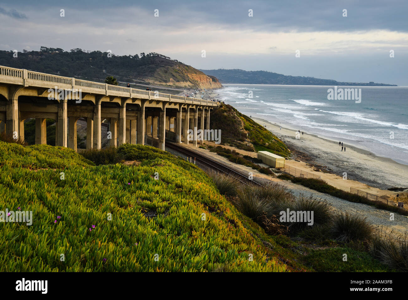 Pickleweed california hi-res stock photography and images - Alamy