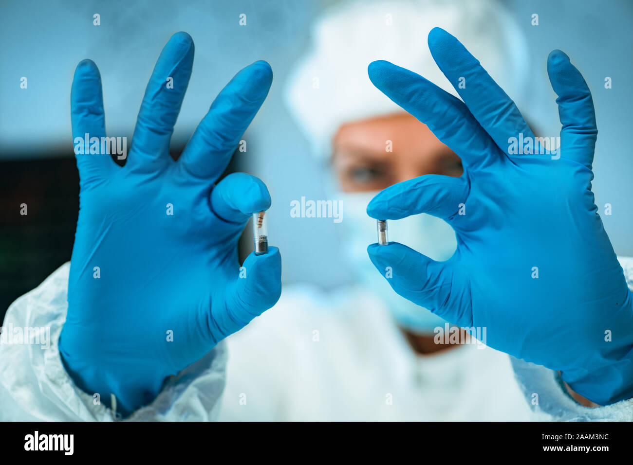 Human implant chip technology. Researcher comparing two models Stock ...
