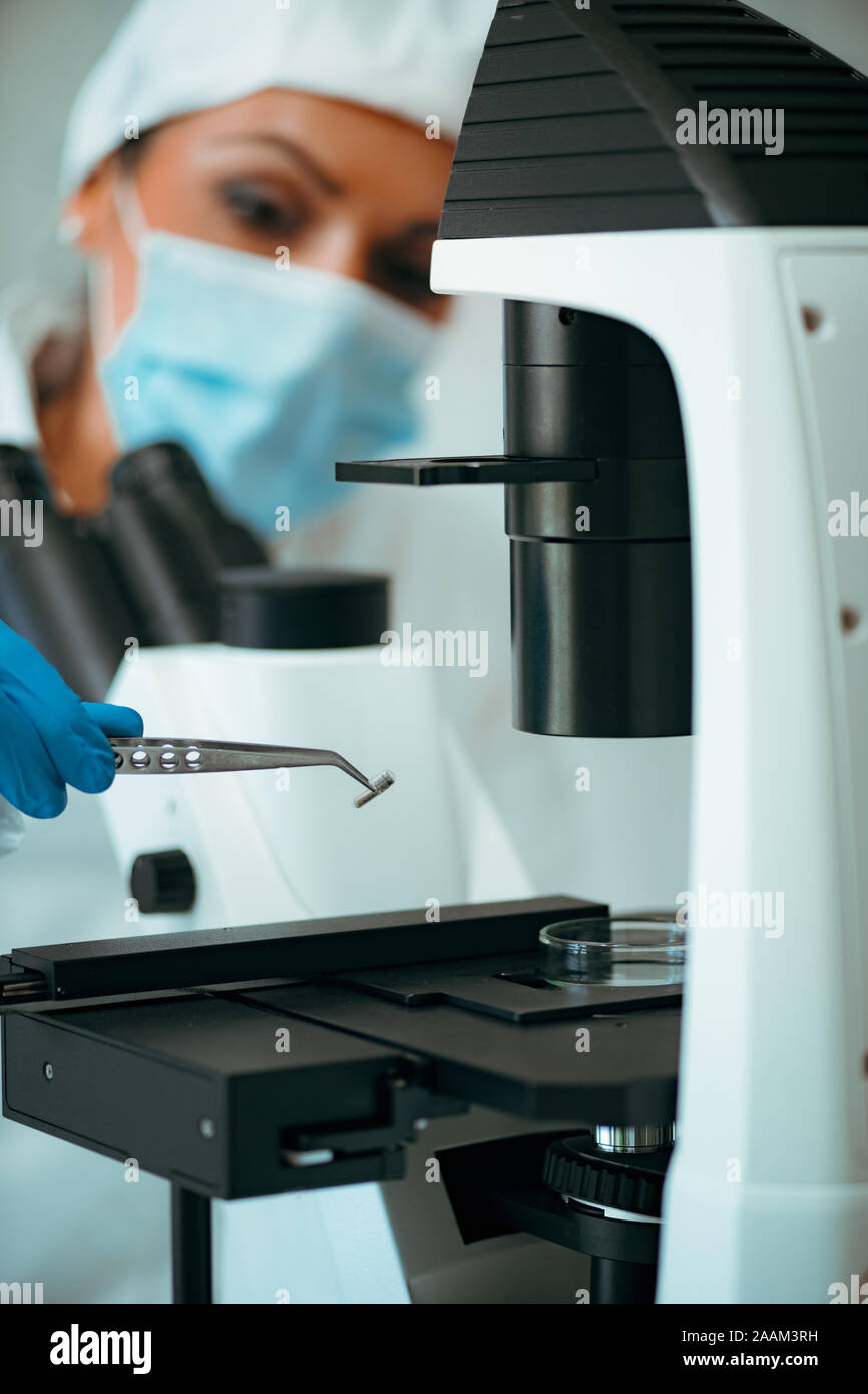 Researcher examining implant chip under the microscope Stock Photo - Alamy