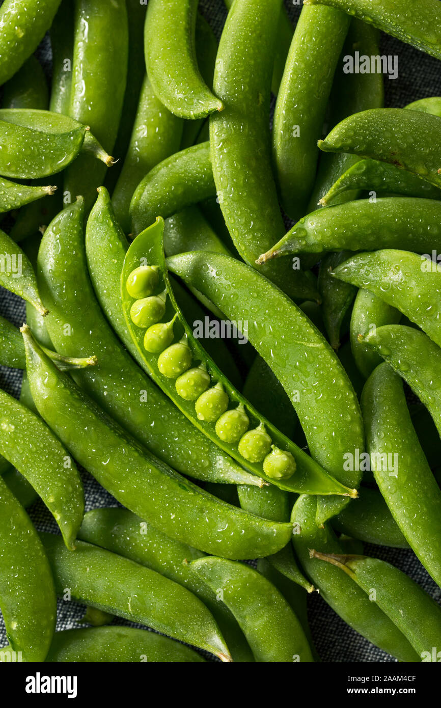 Raw Green Organic Sugar Snap Peas in a Bunch Stock Photo - Alamy