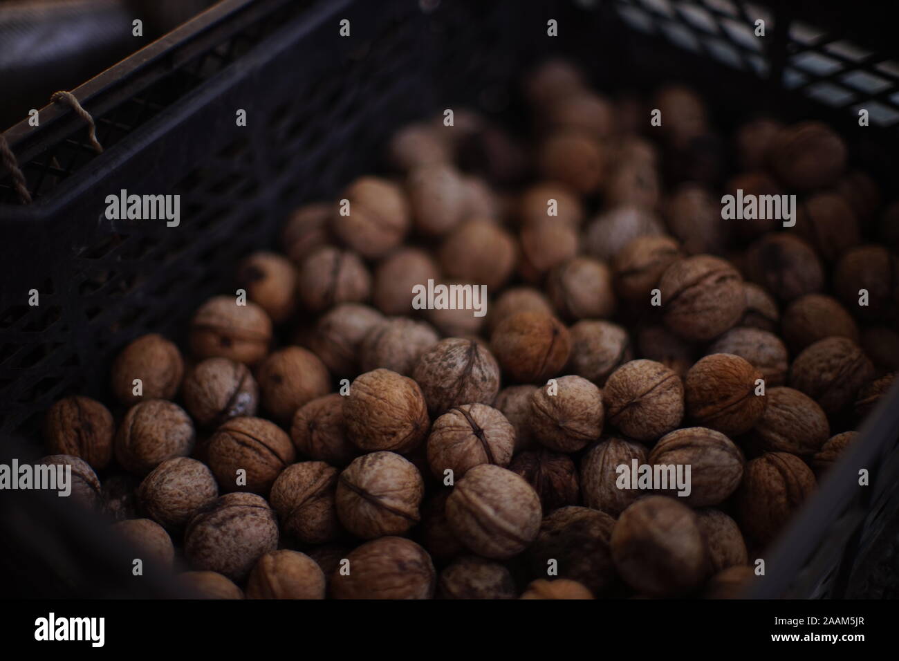 Walnut in the peel hi-res stock photography and images - Alamy