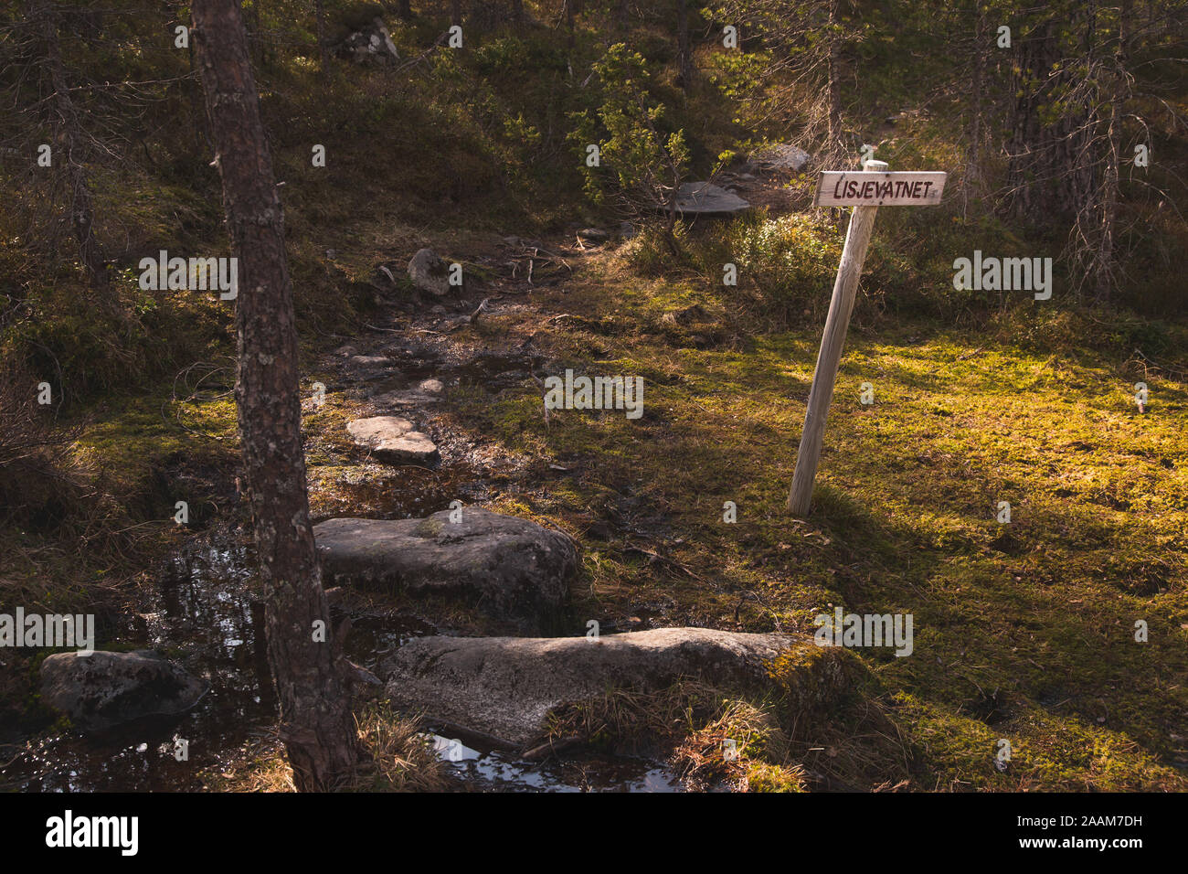 Amazon rainforest sign hi-res stock photography and images - Alamy