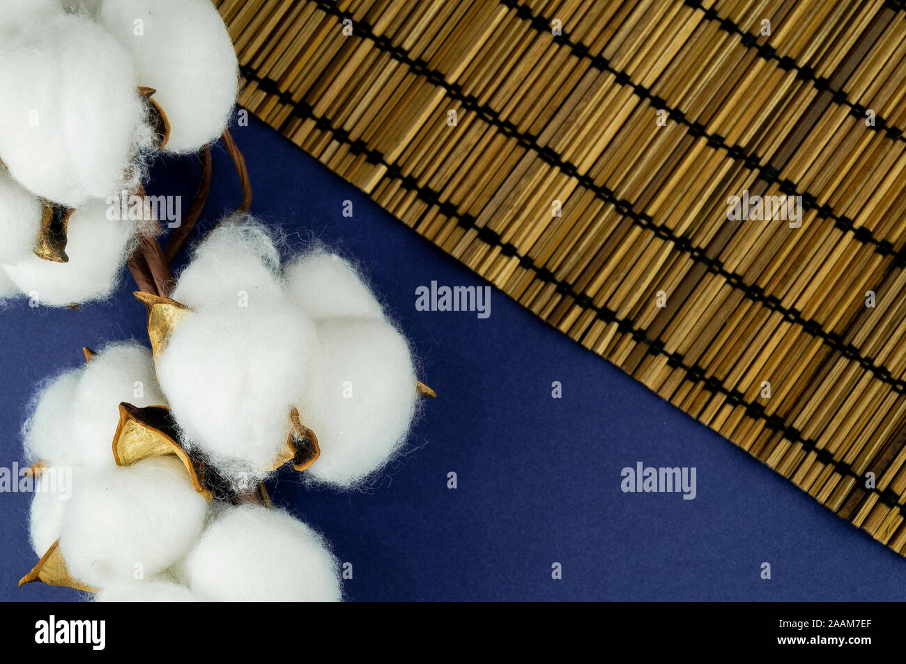 Natural cotton on the table with leaves. Background for your ...