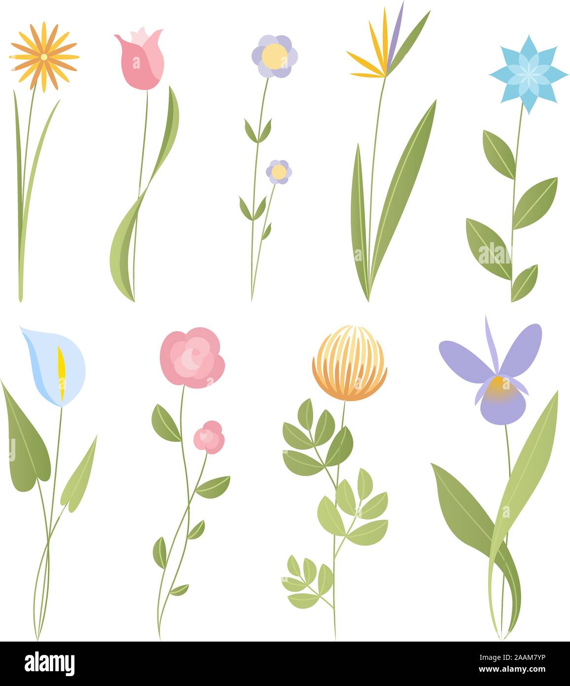 stylized flowers cartoon icon set Stock Vector Image & Art - Alamy