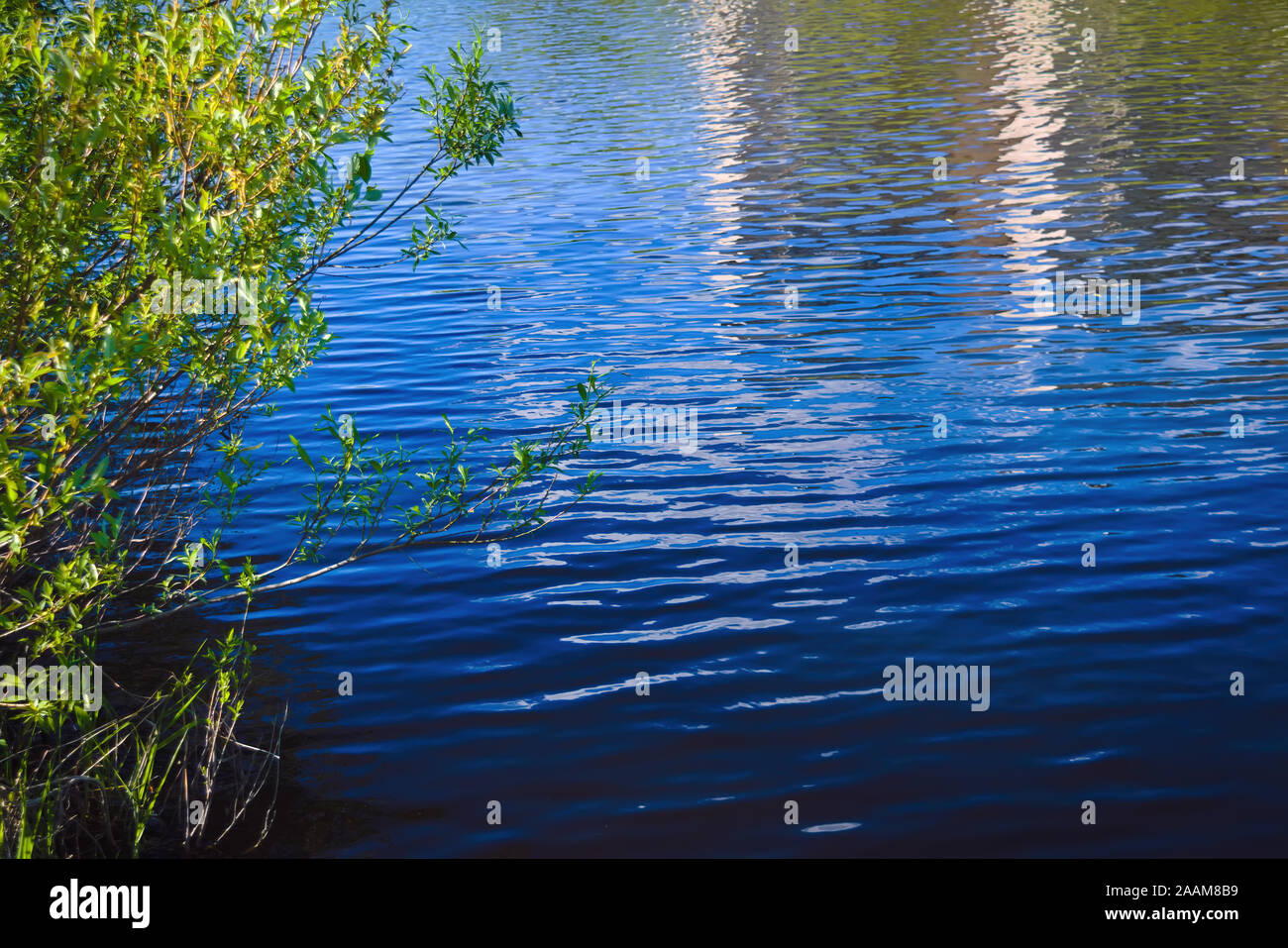 River water surface with sky reflection close-up. Summer landscape ...