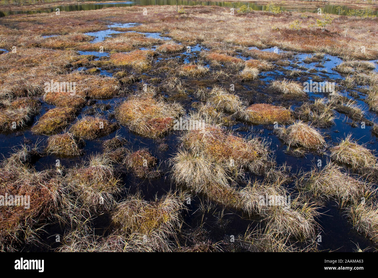 Moorsee | Moor Sea Stock Photo - Alamy