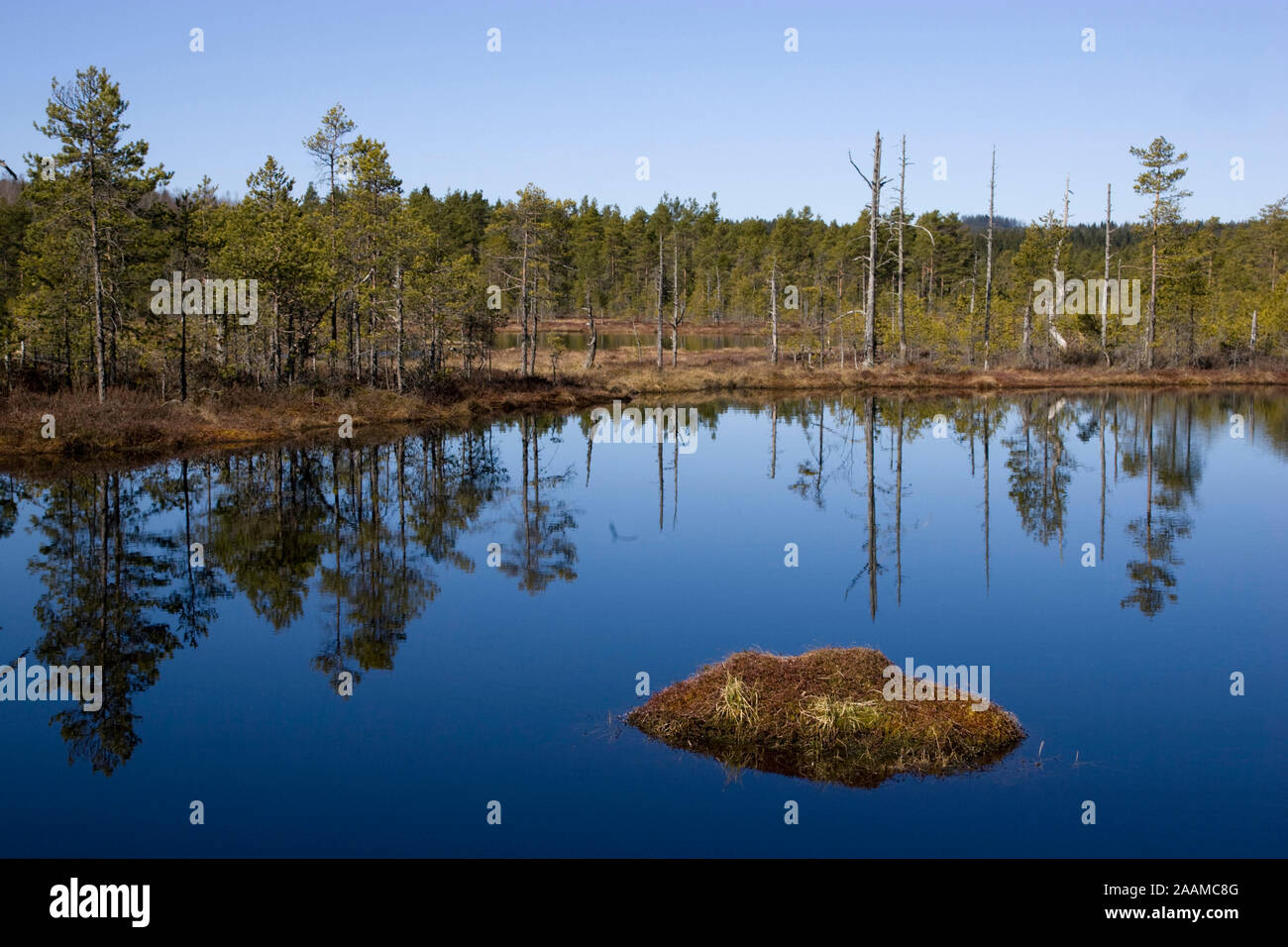 Moorsee | Moor Sea Stock Photo - Alamy