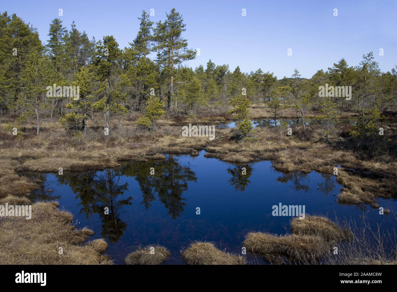 Moorsee hi-res stock photography and images - Alamy