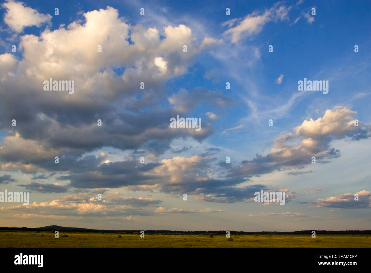 Nationalpark Store Mosse | Store Mosse National Park Stock Photo - Alamy