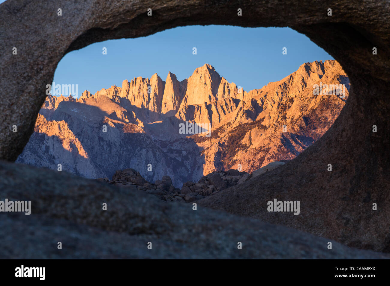 Mount Whitney in the first light of sunrise alpenglow. Looking out from ...
