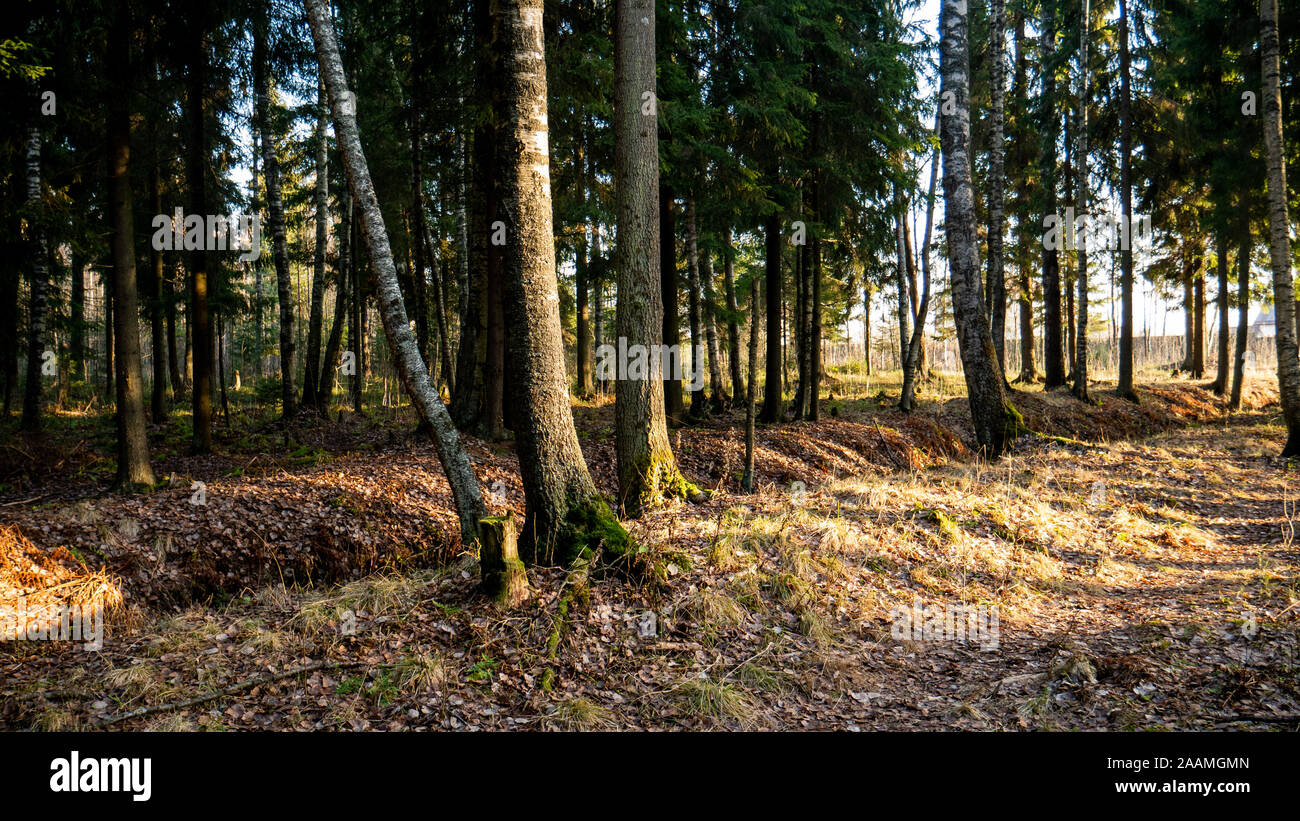 Middle wood moat hi-res stock photography and images - Alamy