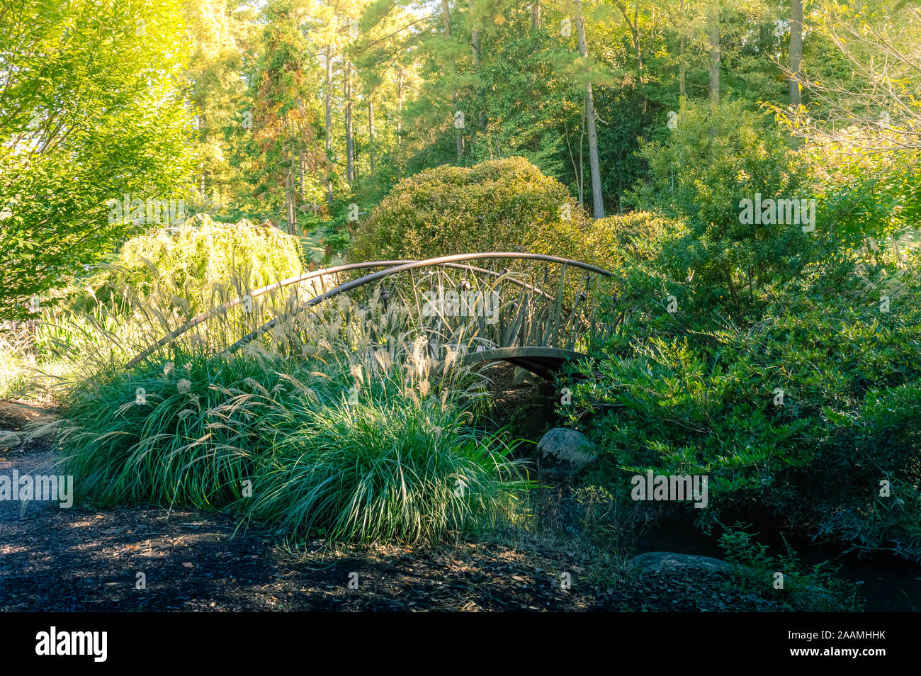 Natural landscape of a bridge amidst plants of many shades of green and ...